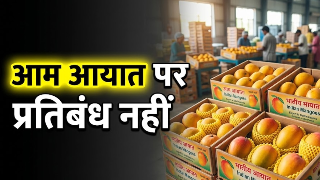 भारतीय आमों पर बैन नहीं! नेपाल ने अफवाहों पर तोड़ी चुप्पी, जानिए सफाई ...