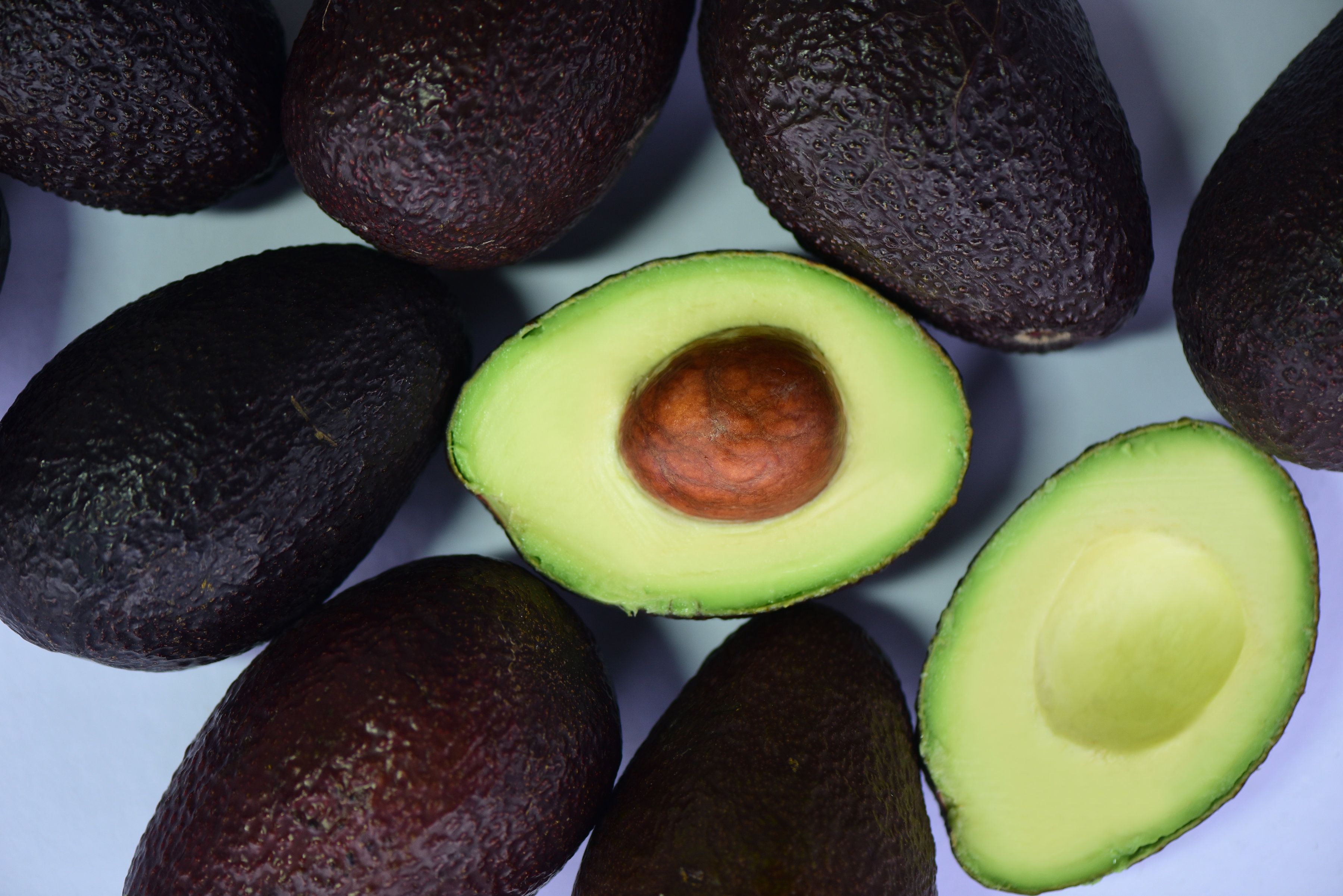 महंगा Avocado खरीदना छोड़िए! 1 बीज से घर की बालकनी में ही उगाएं फलदार ...