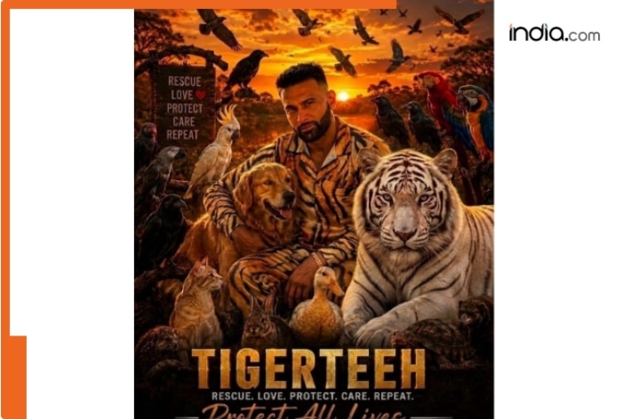 Tigerteeh Rescue House – How Touseef Panchbhaya is transforming animal ...